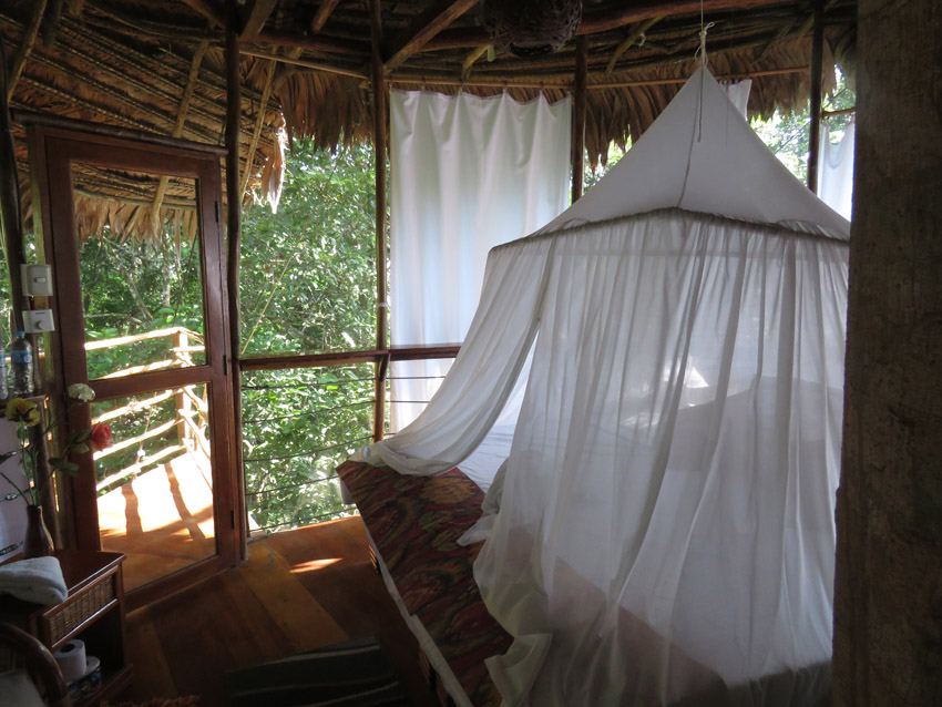 The Amazon River - On to the Treehouse Lodge - Powers To Travel